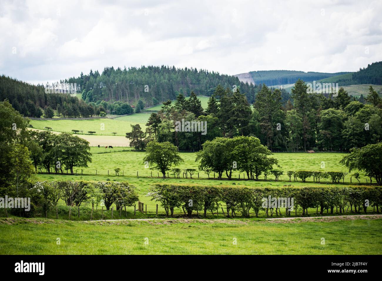 Innerleithen, Scotland, United Kingdom Stock Photo - Alamy