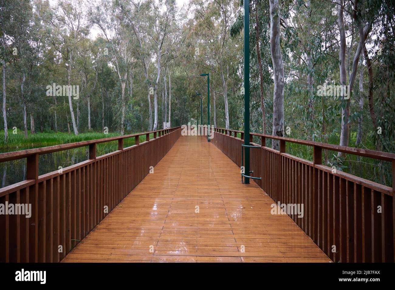 wooden bridge with railings in the park, light brown. Passage bridge ...