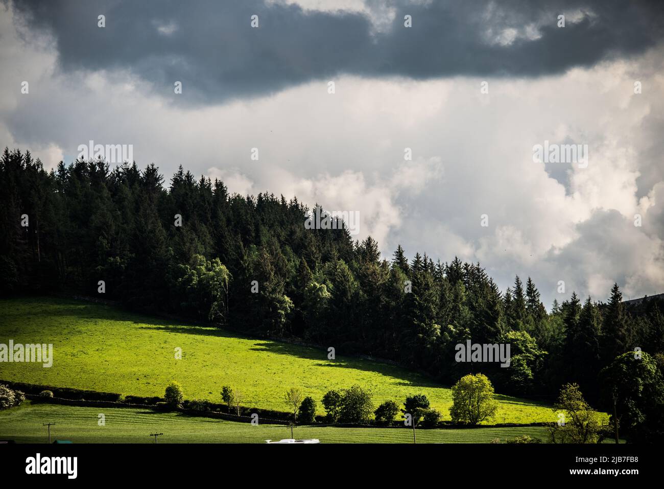 Cemetery scozia hi-res stock photography and images - Alamy
