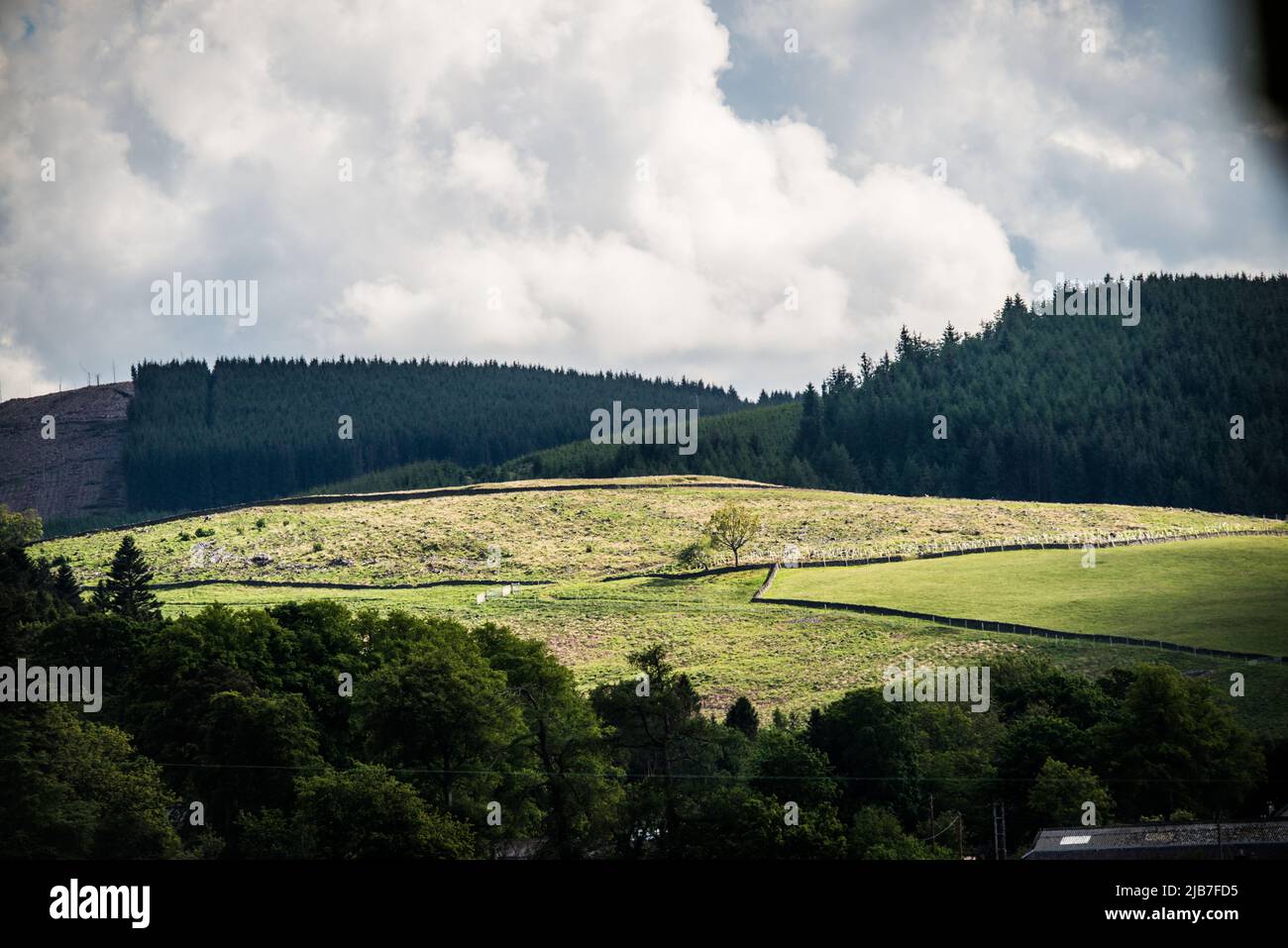 Cemetery scozia hi-res stock photography and images - Alamy