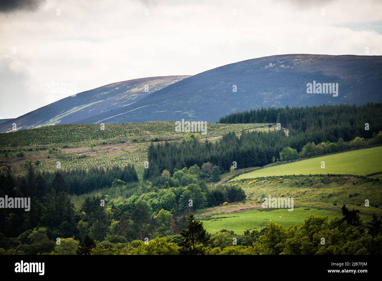 Innerleithen, Scotland, United Kingdom Stock Photo - Alamy