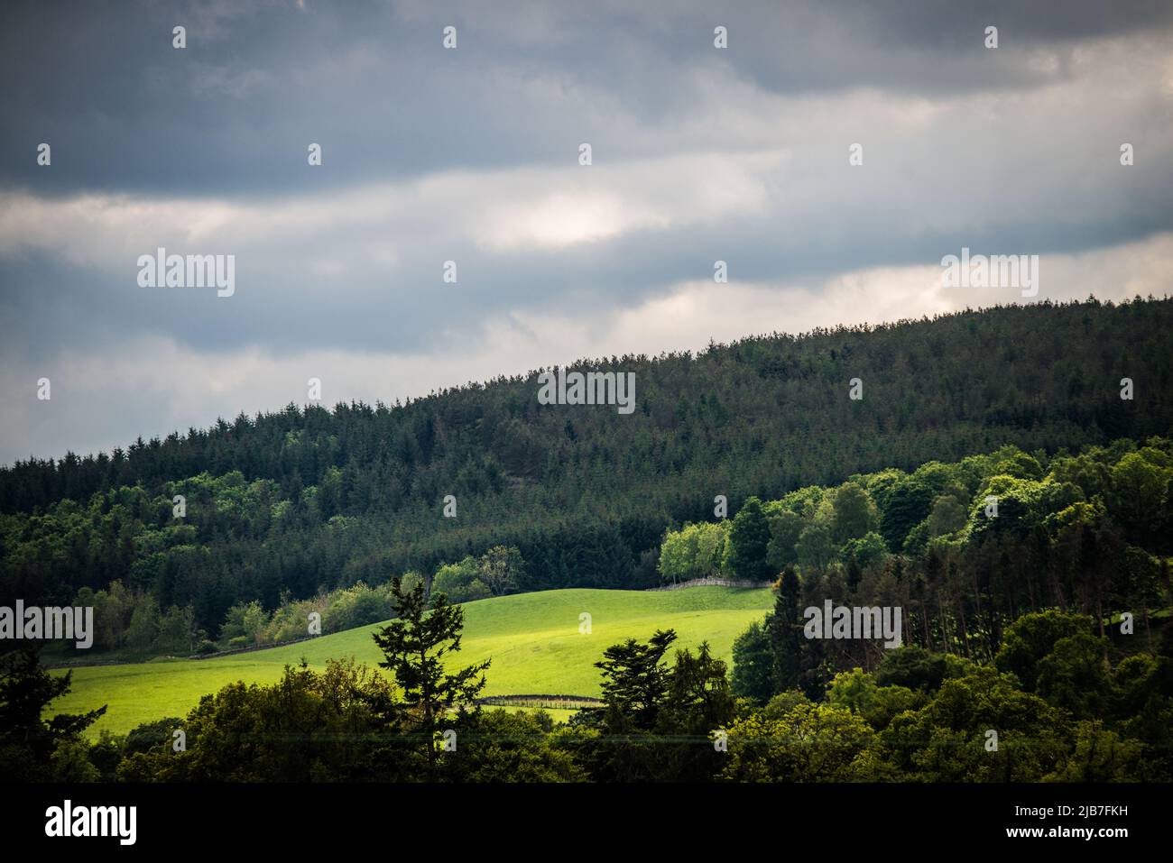 Innerleithen, Scotland, United Kingdom Stock Photo - Alamy