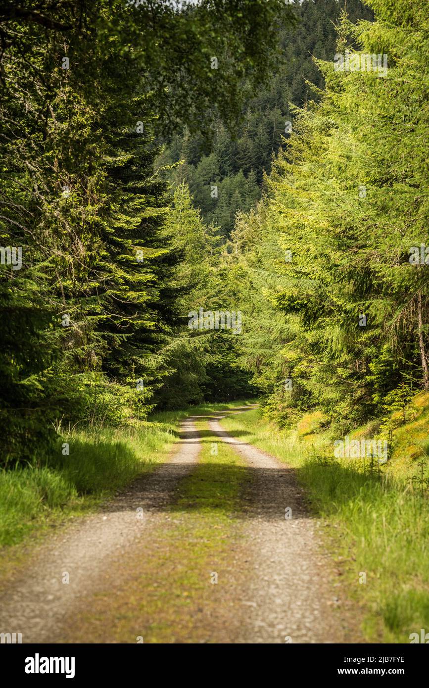 Tweed valley scotland mountain bike hi-res stock photography and images ...