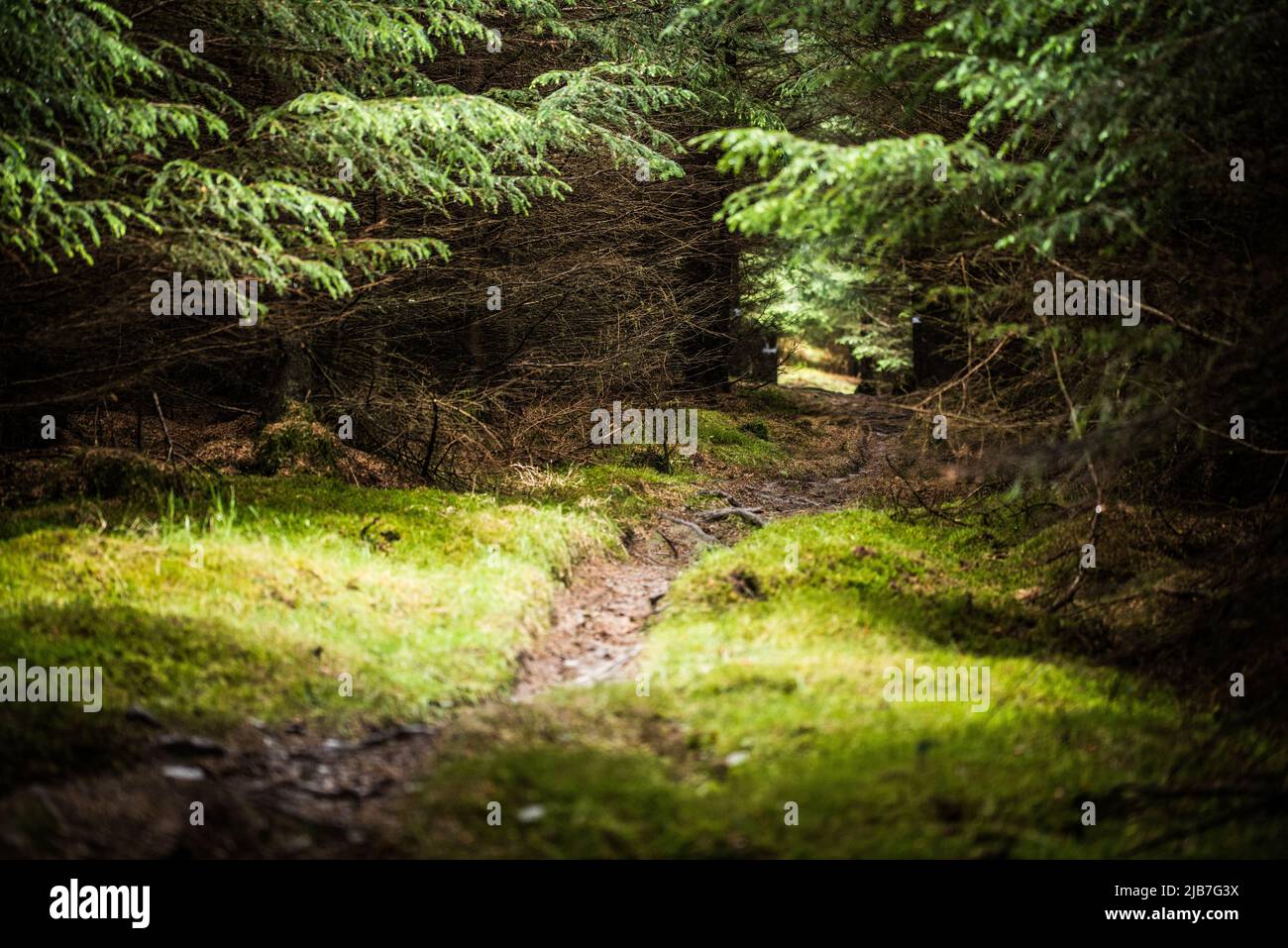 Innerleithen, Scotland, United Kingdom Stock Photo - Alamy