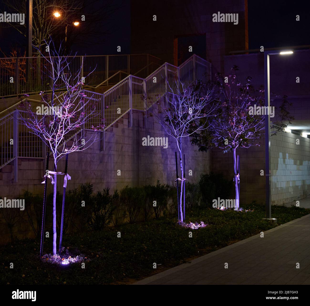 Lightbulb bush hi-res stock photography and images - Alamy