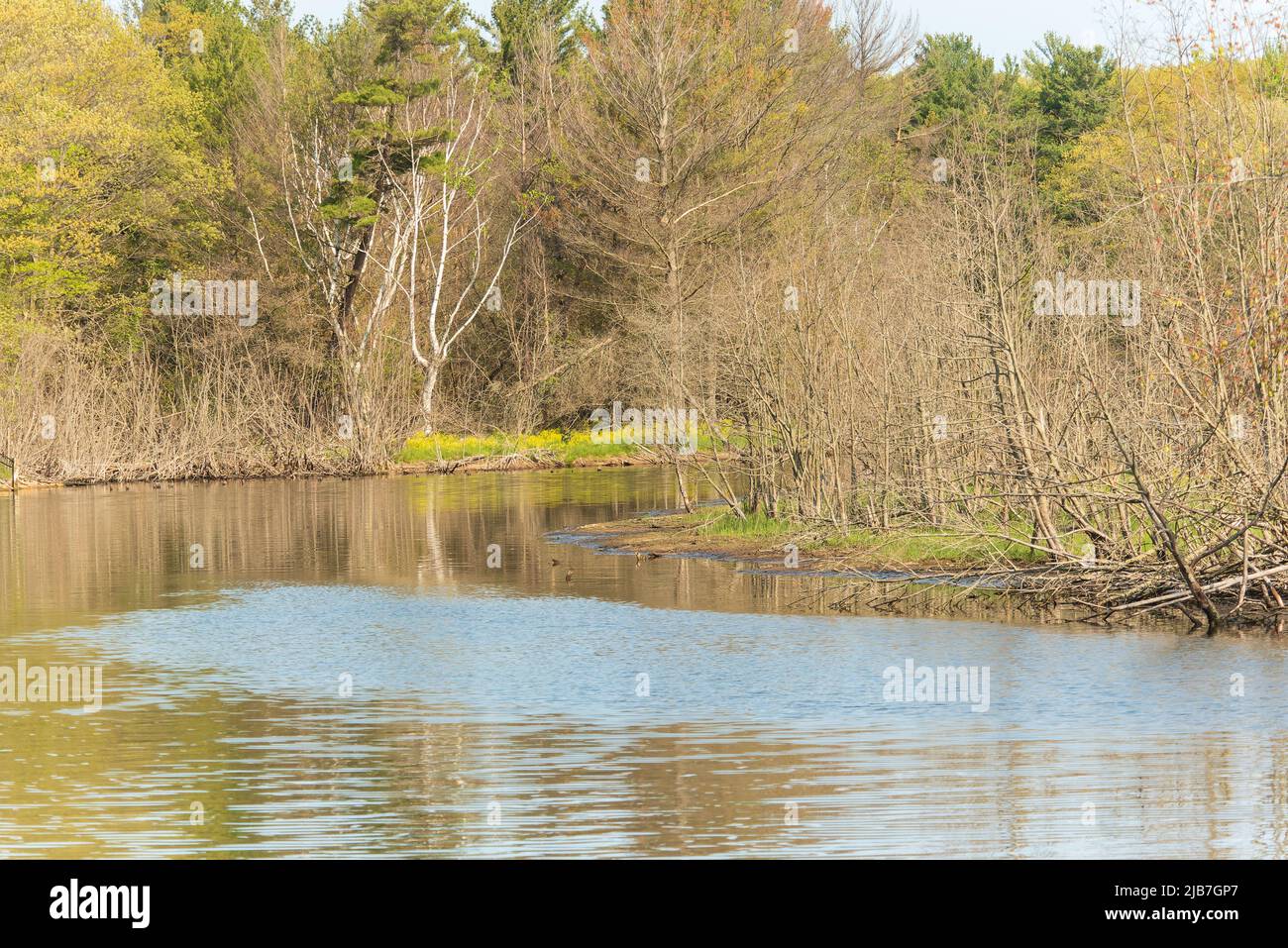 Untouched ecosystem hi-res stock photography and images - Alamy