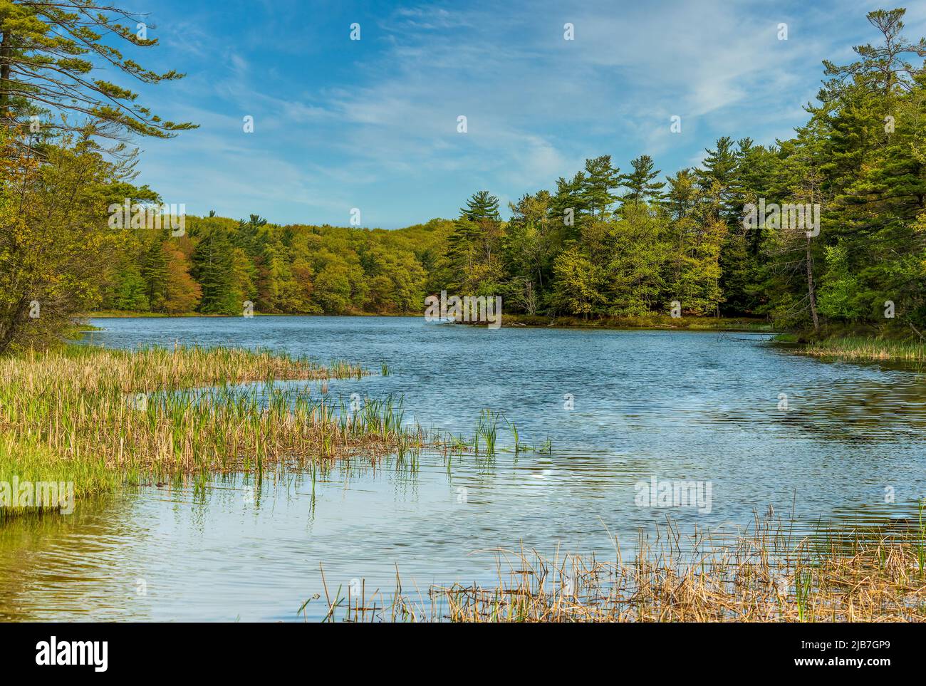 Unspoiled ecosystem hi-res stock photography and images - Alamy