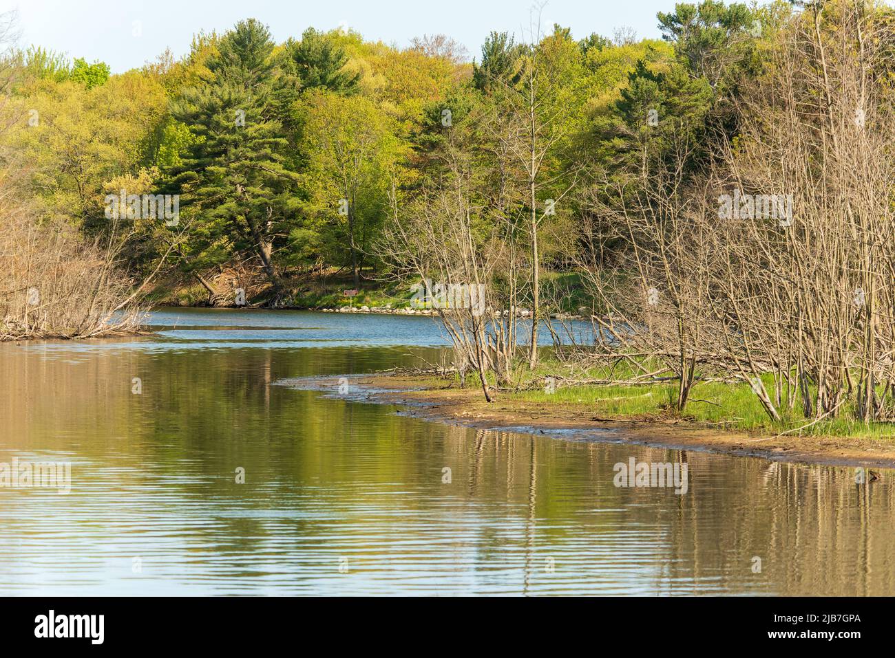 Unspoiled ecosystem hi-res stock photography and images - Alamy