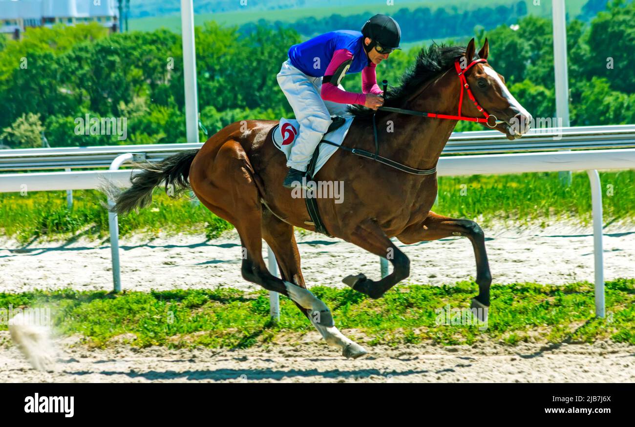 PYATIGORSK,RUSSIA - MAY 29,2022: Horse race to a Sprint Prize in ...