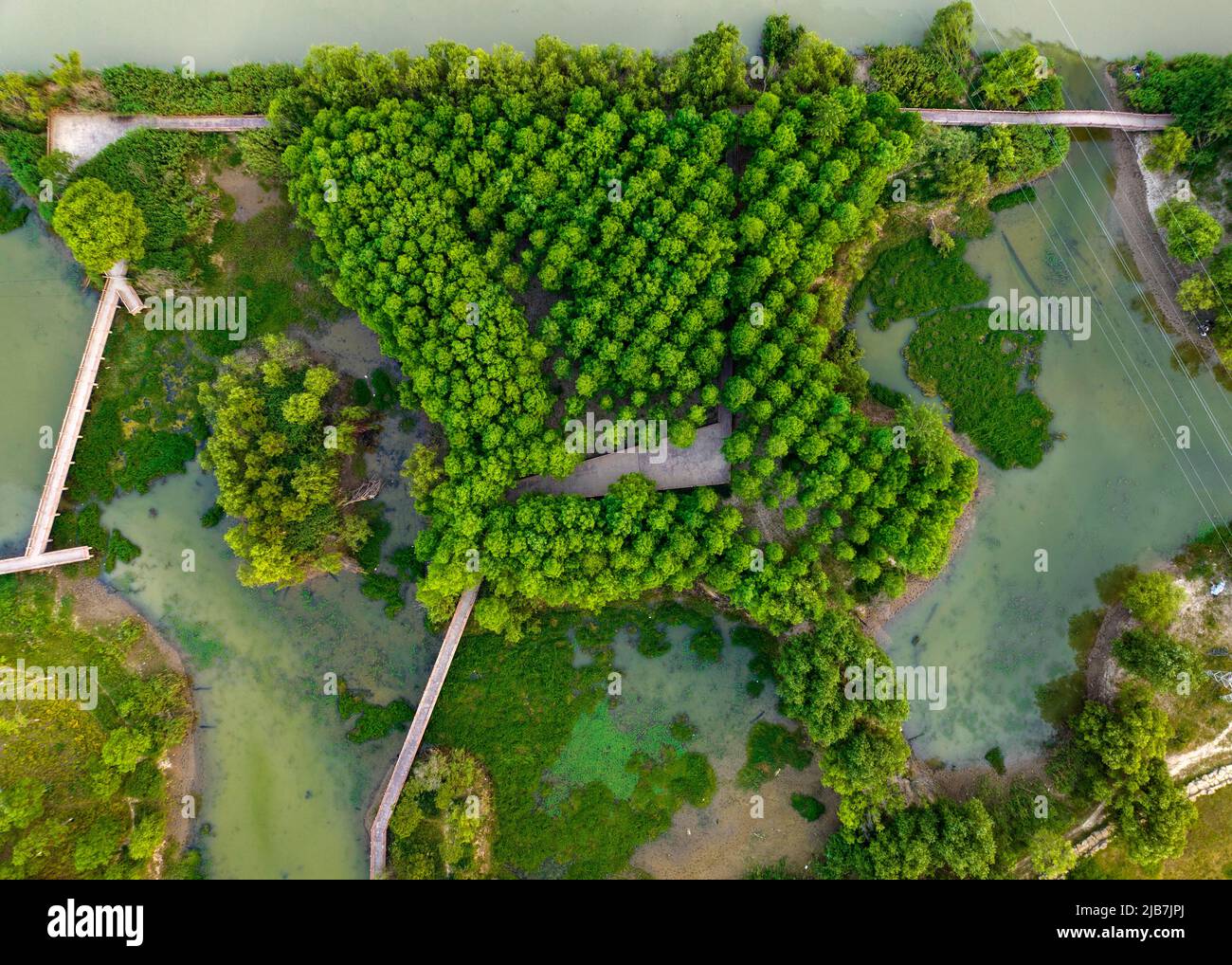 HUAI'AN, CHINA - JUNE 1, 2022 - Trees cover the ancient Huai River ...