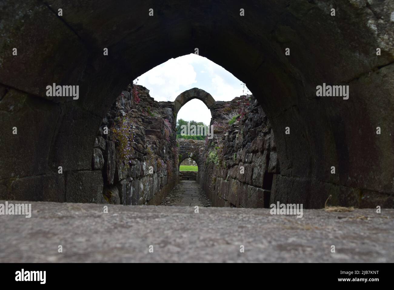 English heritage sawley abbey hi-res stock photography and images - Alamy