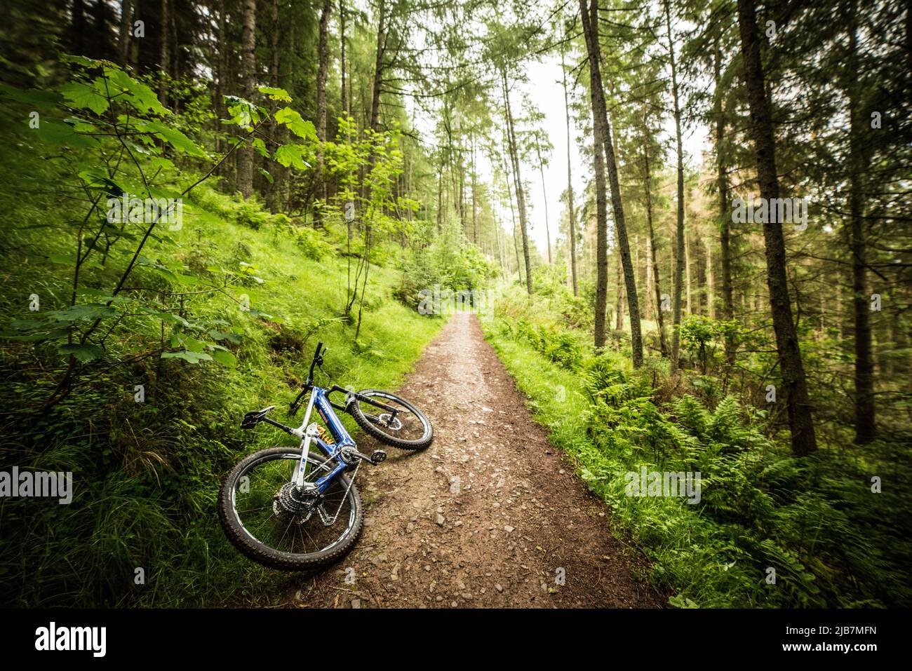 Innerleithen, Scotland, United Kingdom Stock Photo - Alamy