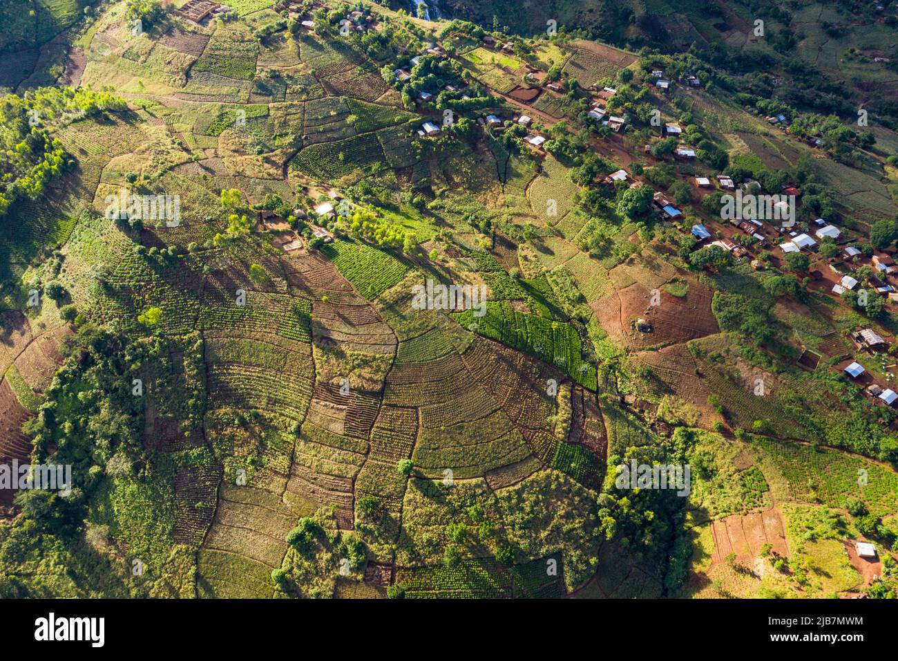Tea farming in Mulanje, Malawi Stock Photo - Alamy