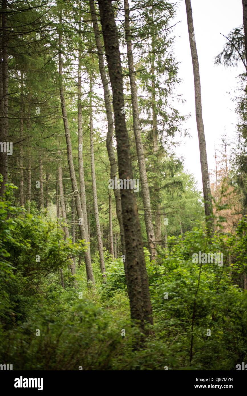 Cemetery scozia hi-res stock photography and images - Alamy