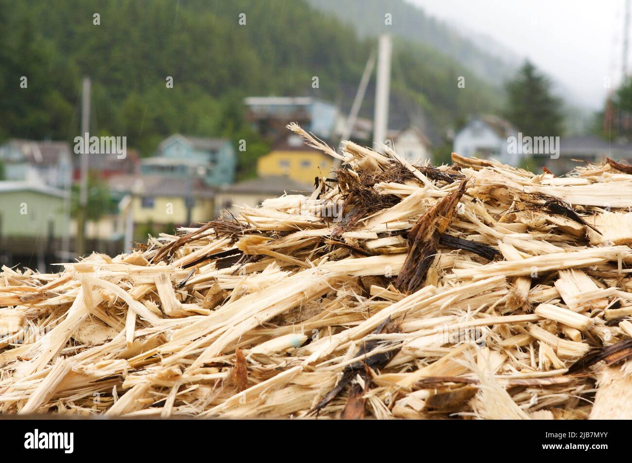 Lumber industry alaska hi-res stock photography and images - Alamy
