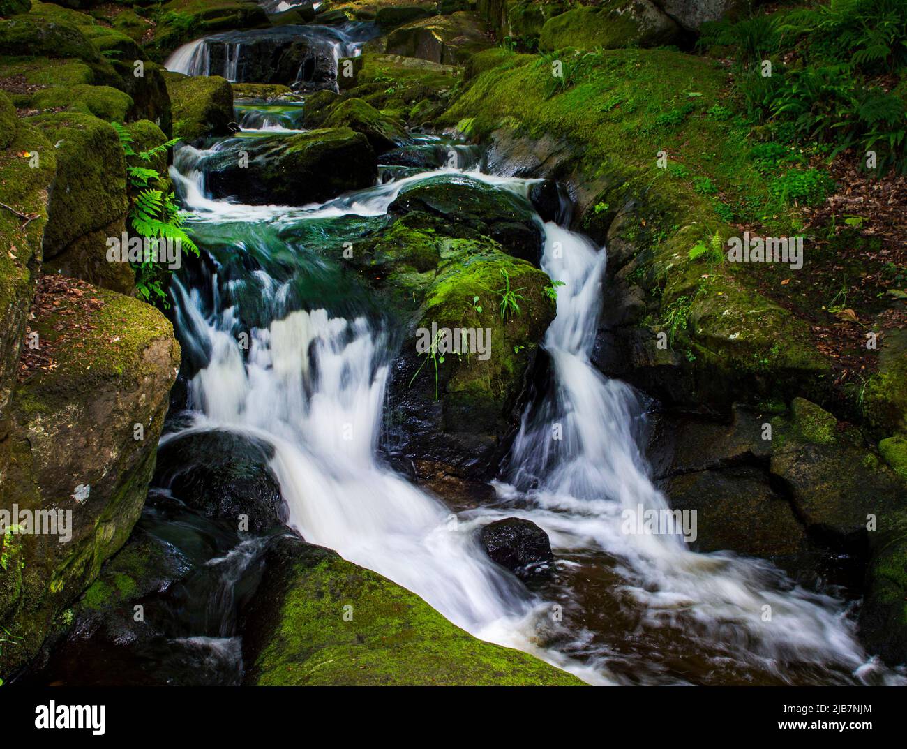 Small river flowing down between rocks Stock Photo - Alamy