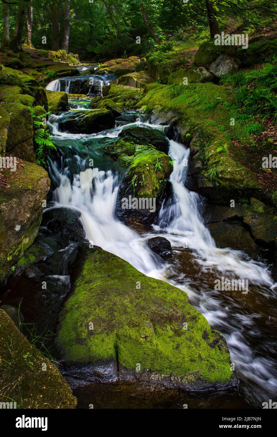 Small river flowing down between rocks Stock Photo - Alamy