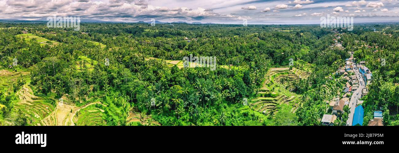 Stepped rice field hi-res stock photography and images - Alamy