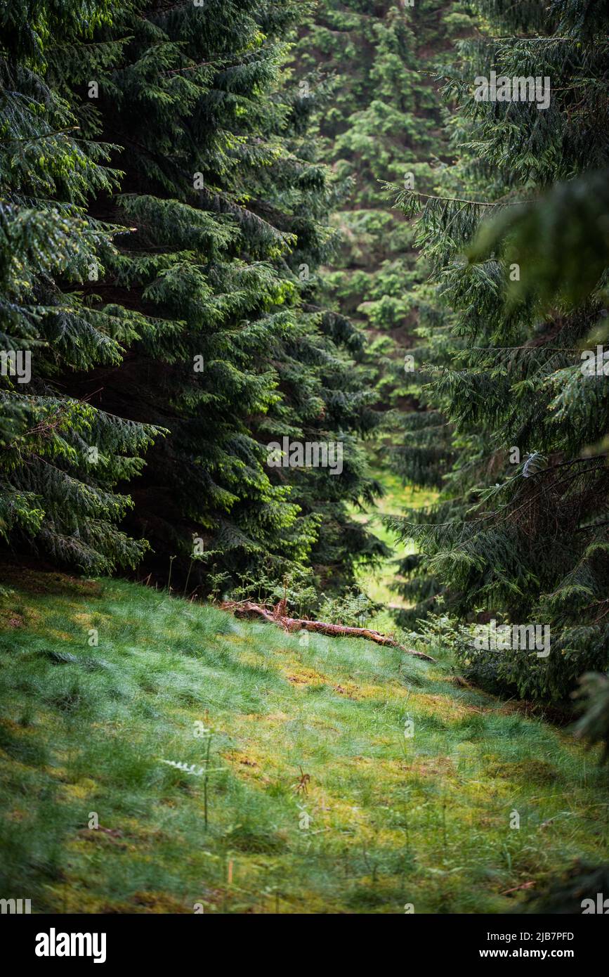 Innerleithen, Scotland, United Kingdom Stock Photo - Alamy