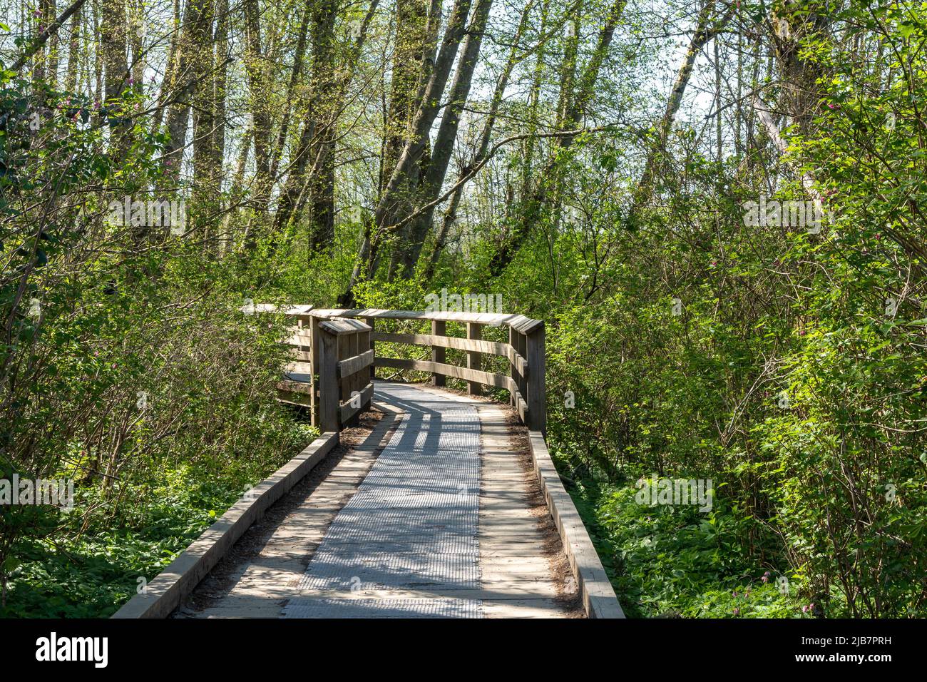 Deer Lake Park walking trails. Burnaby, British Columbia, Canada Stock ...