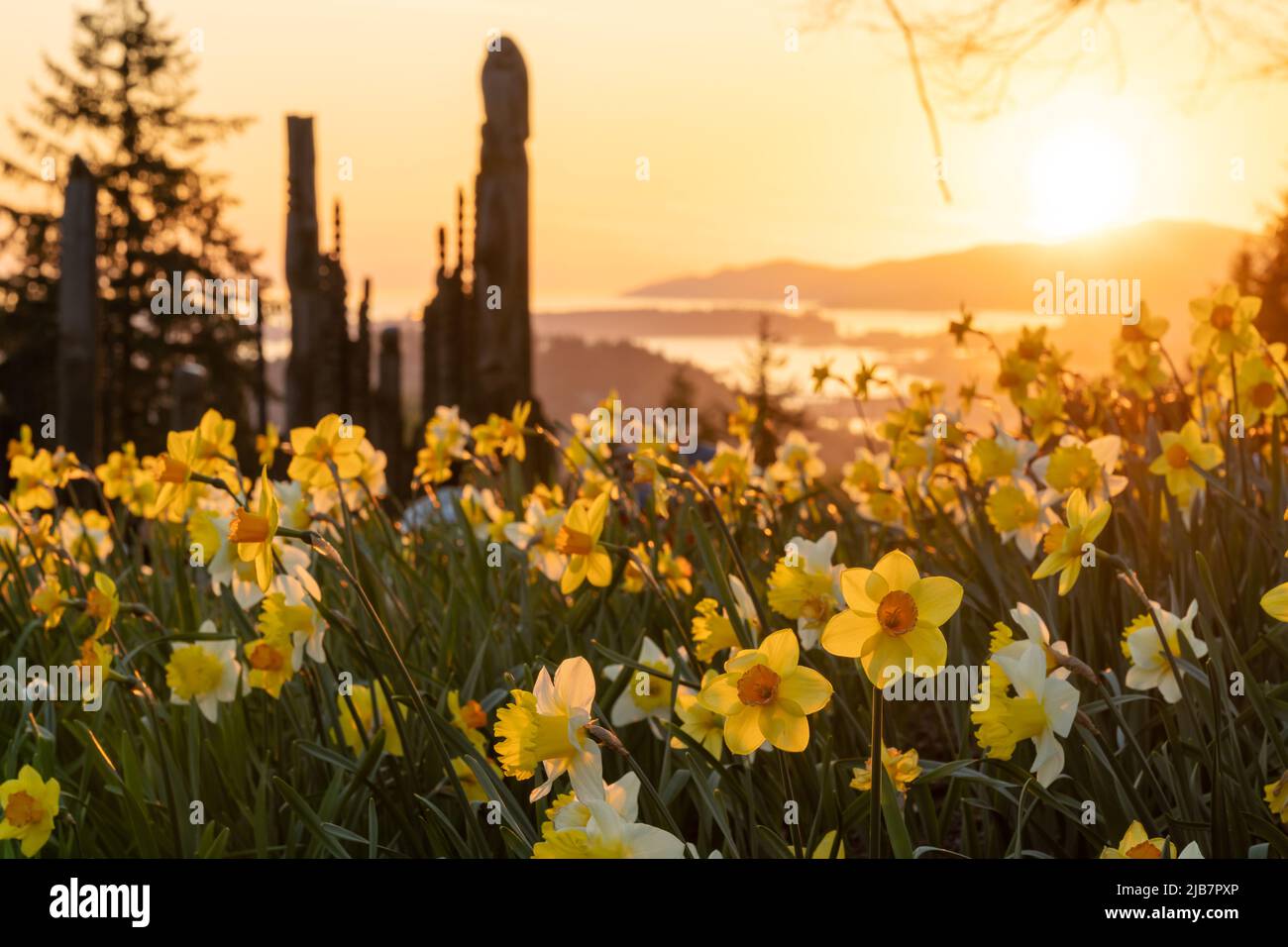 Kushiro park in sunset time. Burnaby, BC, Canada Stock Photo - Alamy