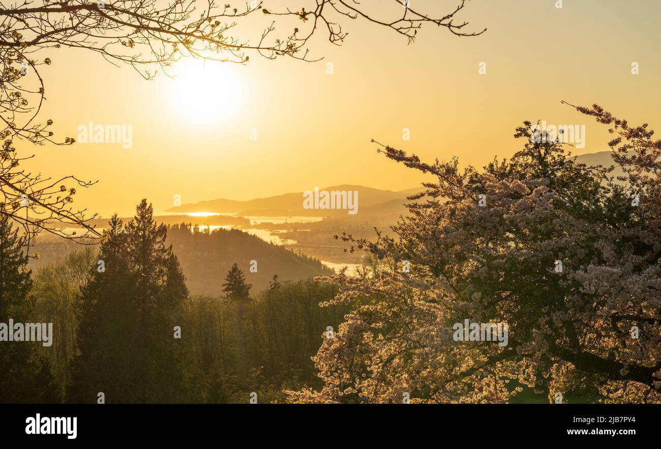 Burnaby mountain park hi-res stock photography and images - Alamy