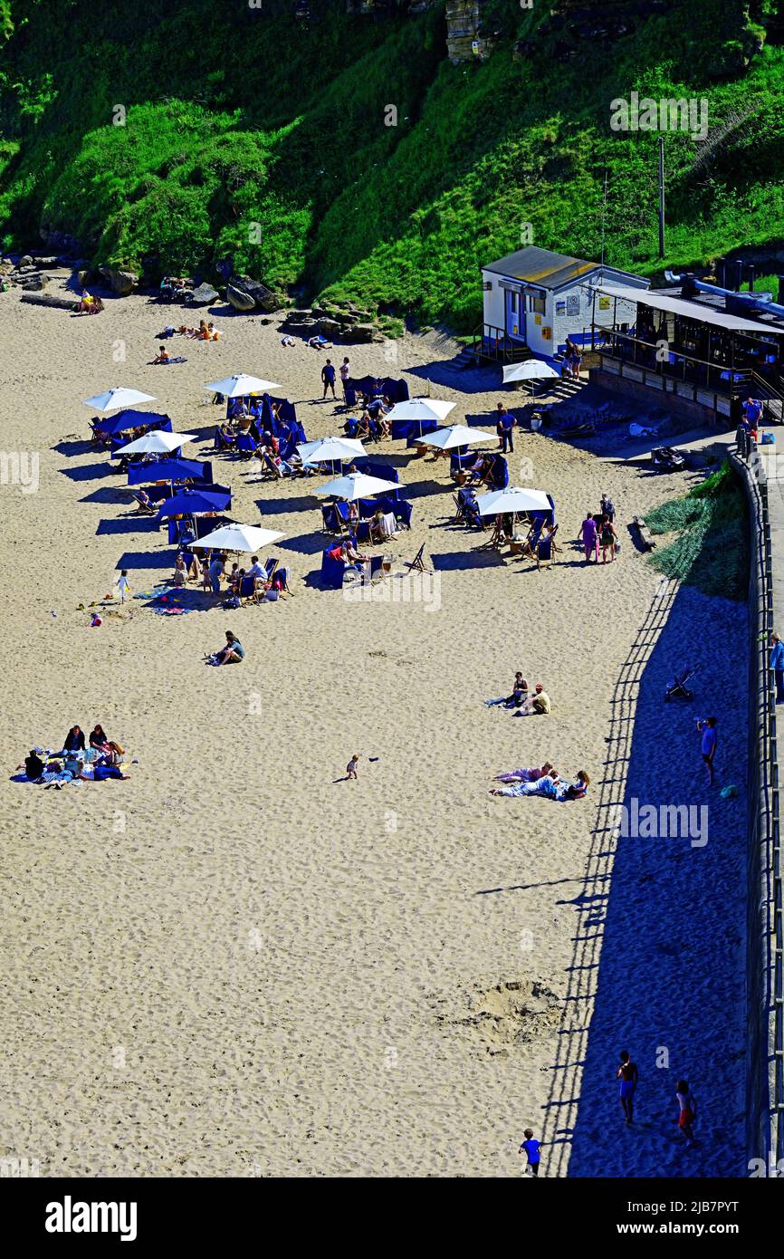 Riley’s fish shack tynemouth hi-res stock photography and images - Alamy
