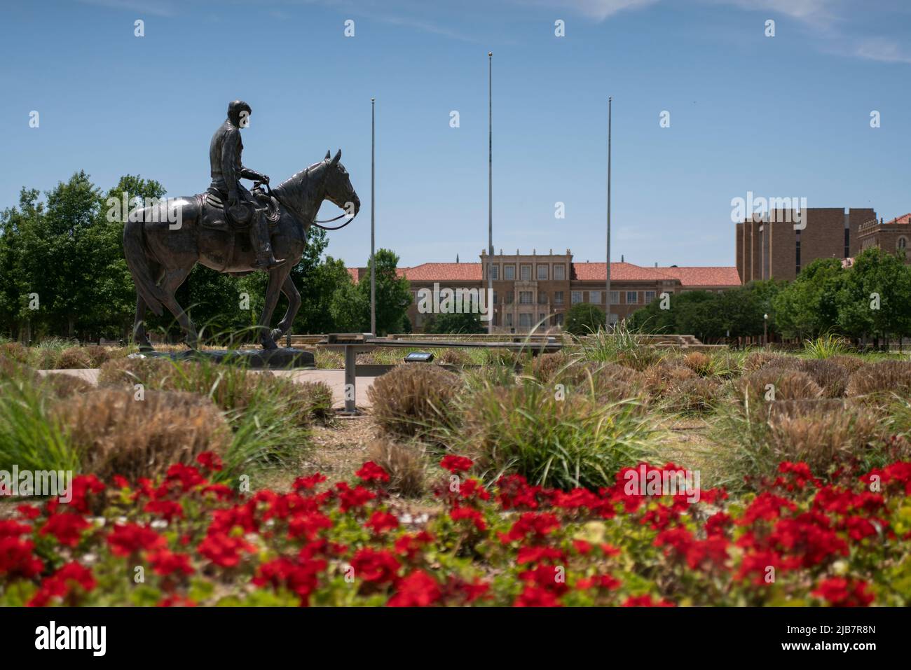 Texas tech red raiders ncaa hi-res stock photography and images - Alamy