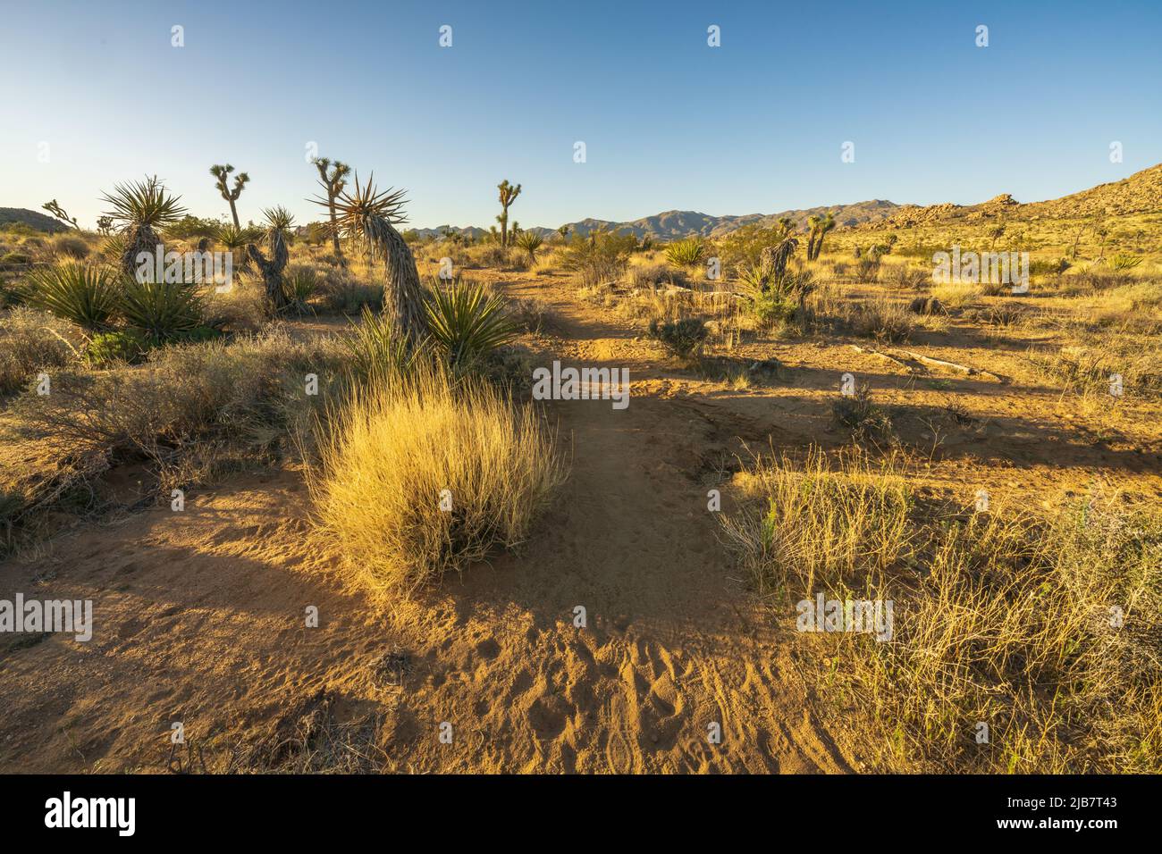hiking the maze loop in joshua tree national park in california, usa ...