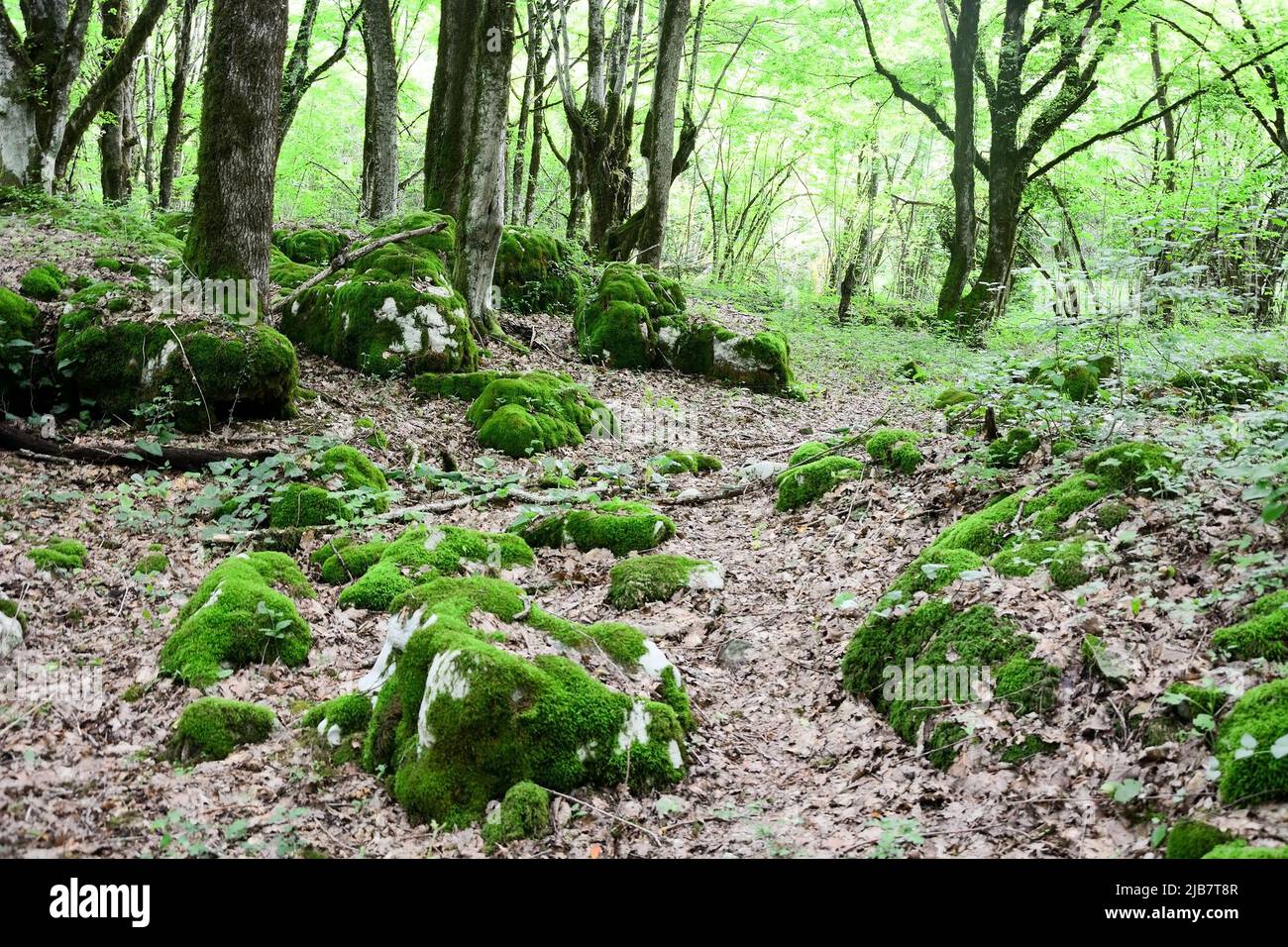 Kodori gorge hi-res stock photography and images - Alamy