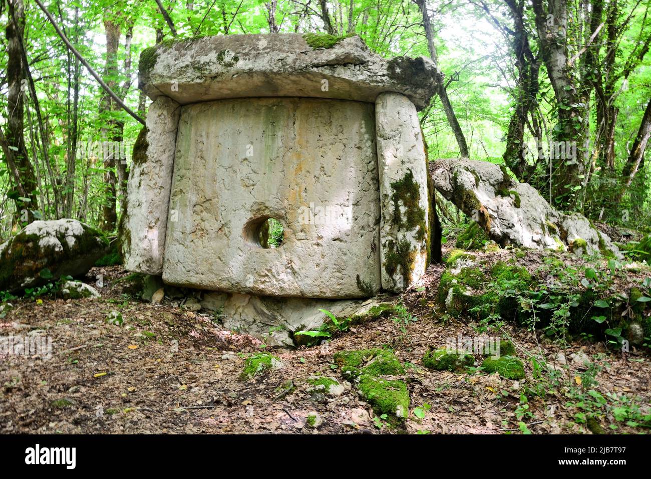 Dolmen at the mysterious Abkhazian forest at the Kodori gorge Stock ...