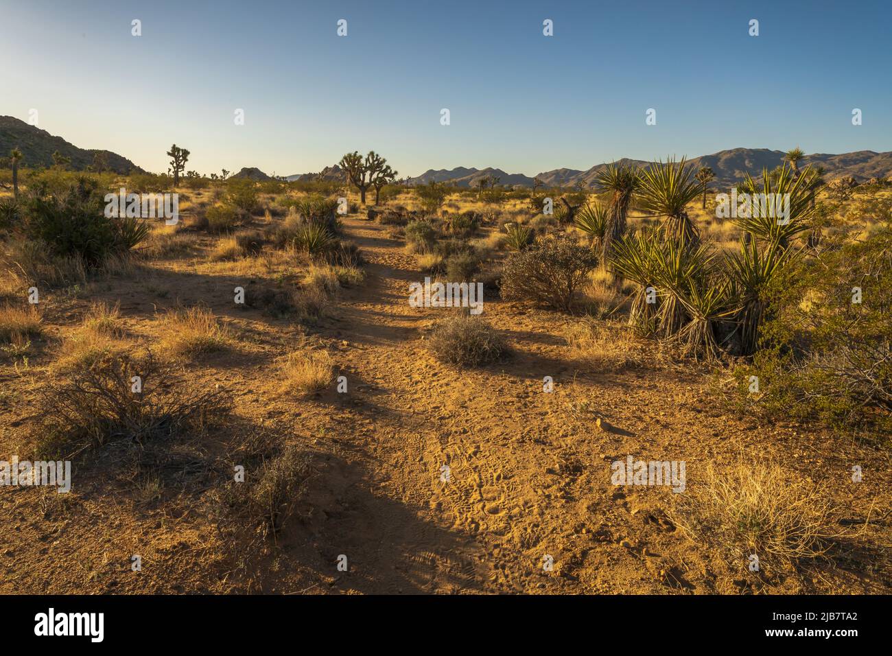 hiking the maze loop in joshua tree national park in california, usa ...