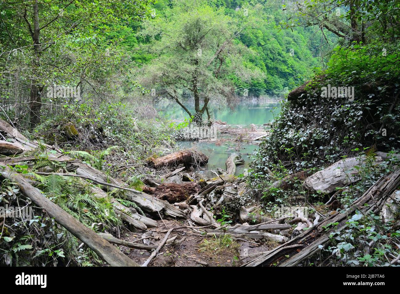 Kodori gorge hi-res stock photography and images - Alamy