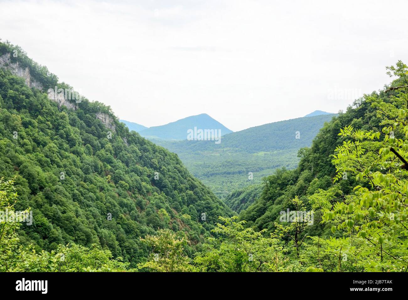 Kodori gorge, Abkhazia. Fresh green colors, spring season Stock Photo ...