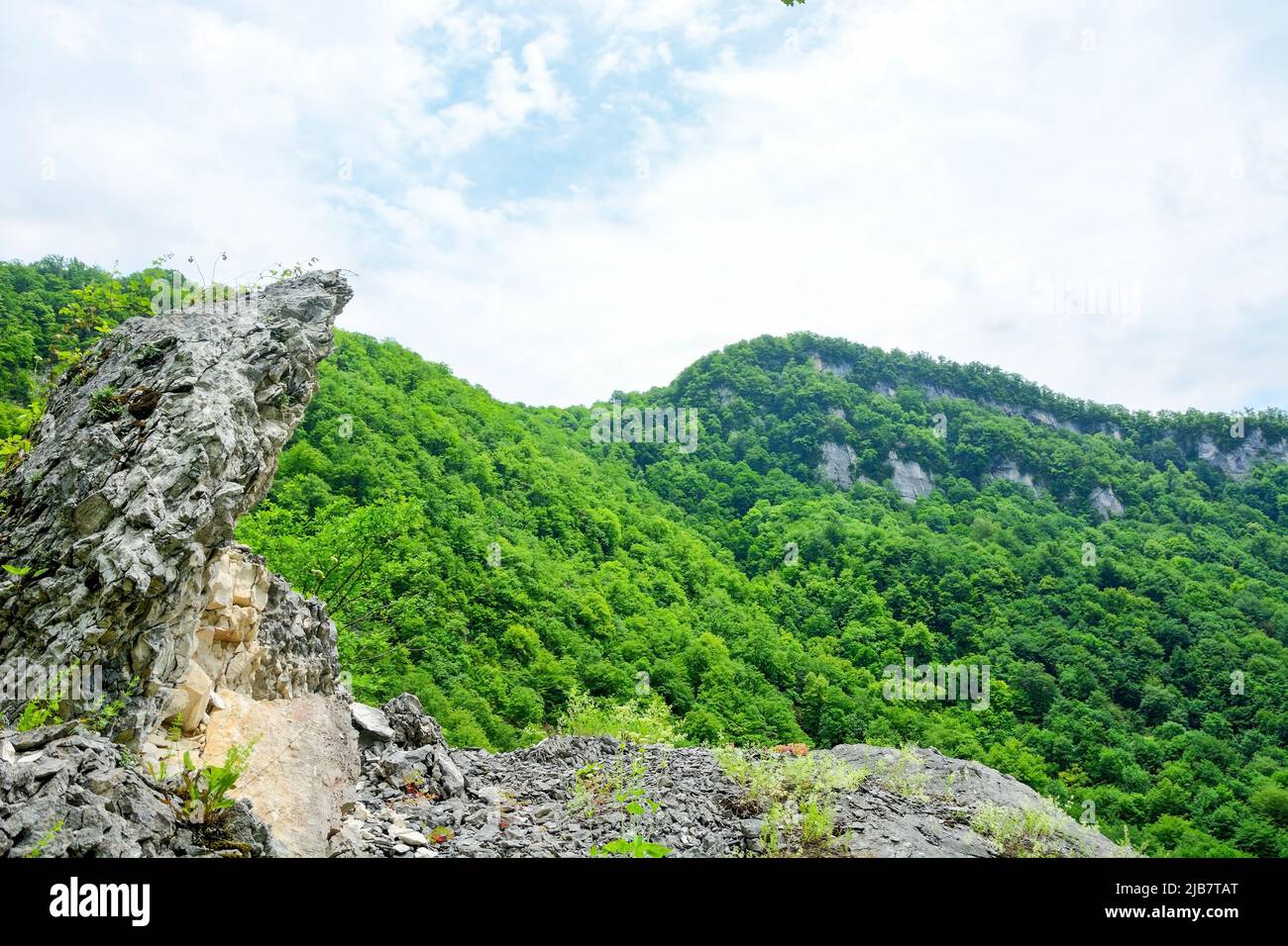 Kodori gorge, Abkhazia. Fresh green colors, spring season Stock Photo ...