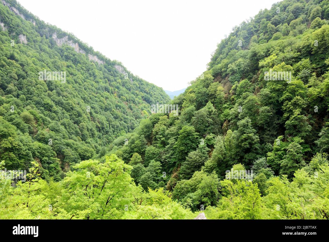 Kodori gorge, Abkhazia. Fresh green colors, spring season Stock Photo ...