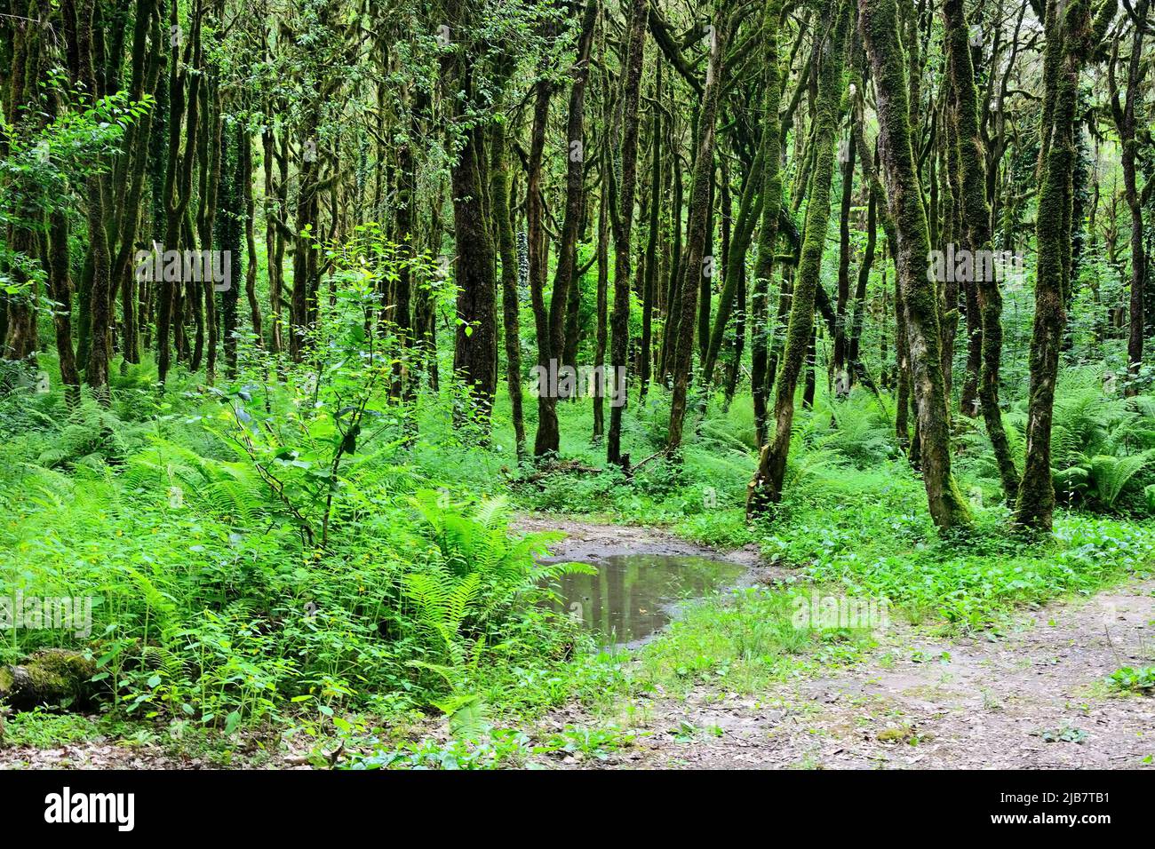 Kodori gorge hi-res stock photography and images - Alamy