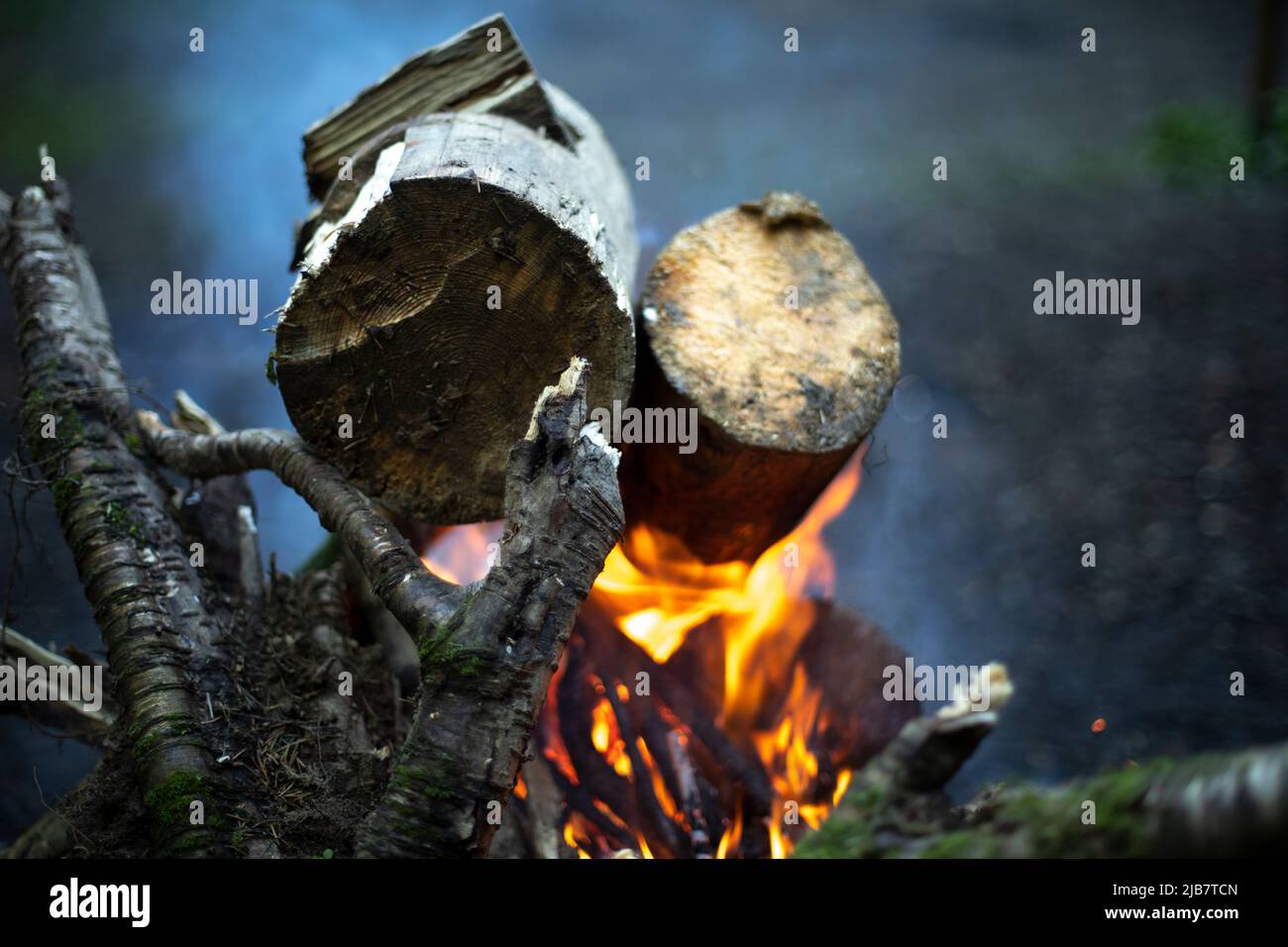 Bonfire in woods hi-res stock photography and images - Alamy