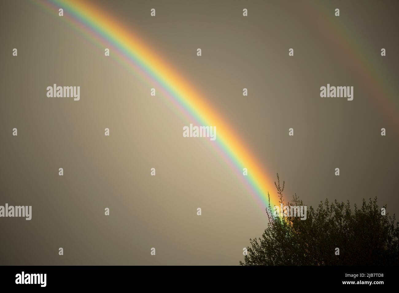 Rainbow in sky. Beautiful weather. Decomposition of light into colors ...