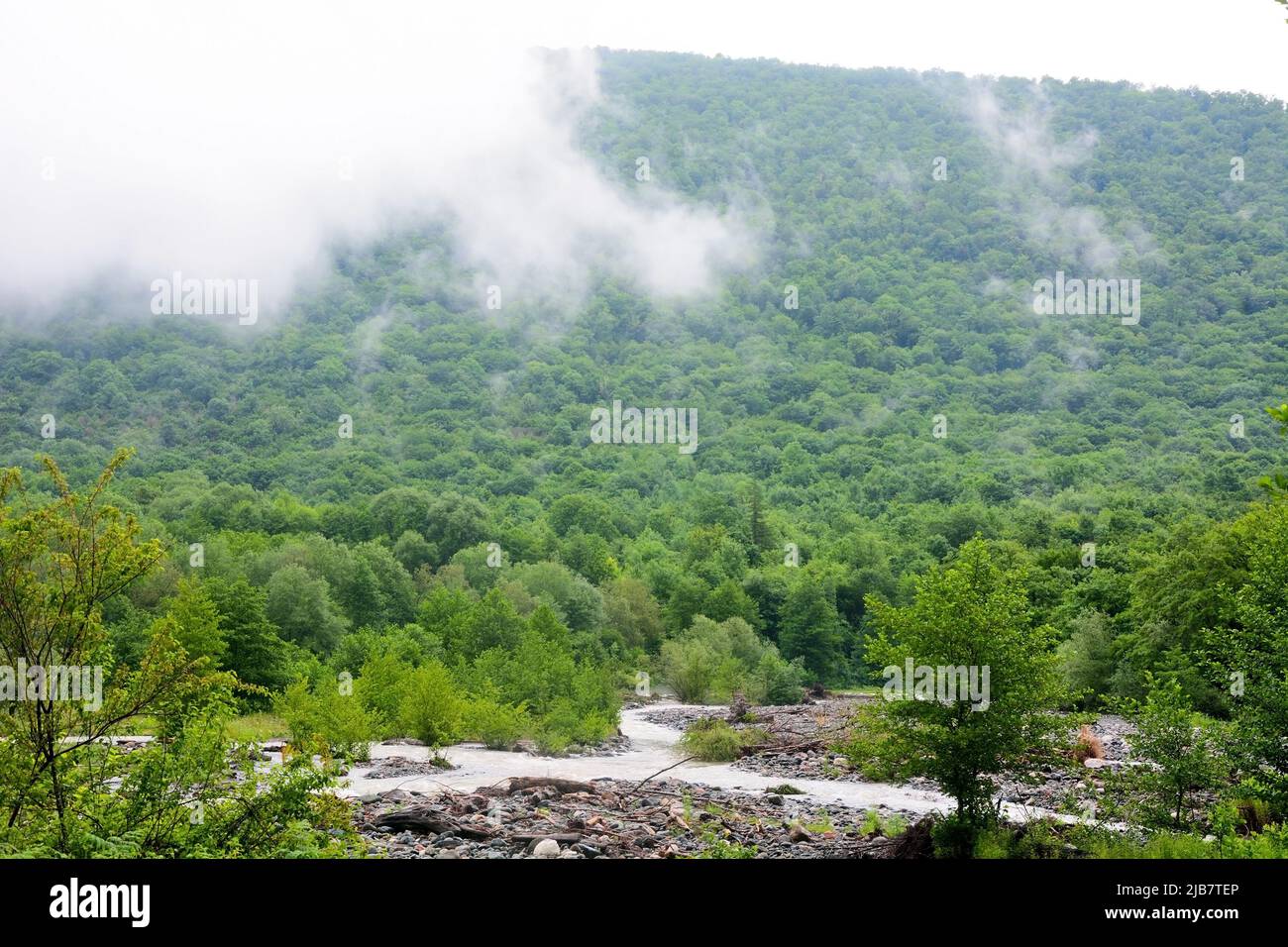 Alpine meadows, foggy mountains at Abkhazia (Kodori Gorge Stock Photo ...