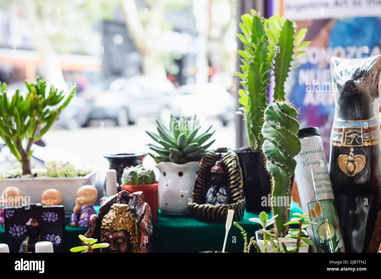 Cacti souvenir hi-res stock photography and images - Alamy
