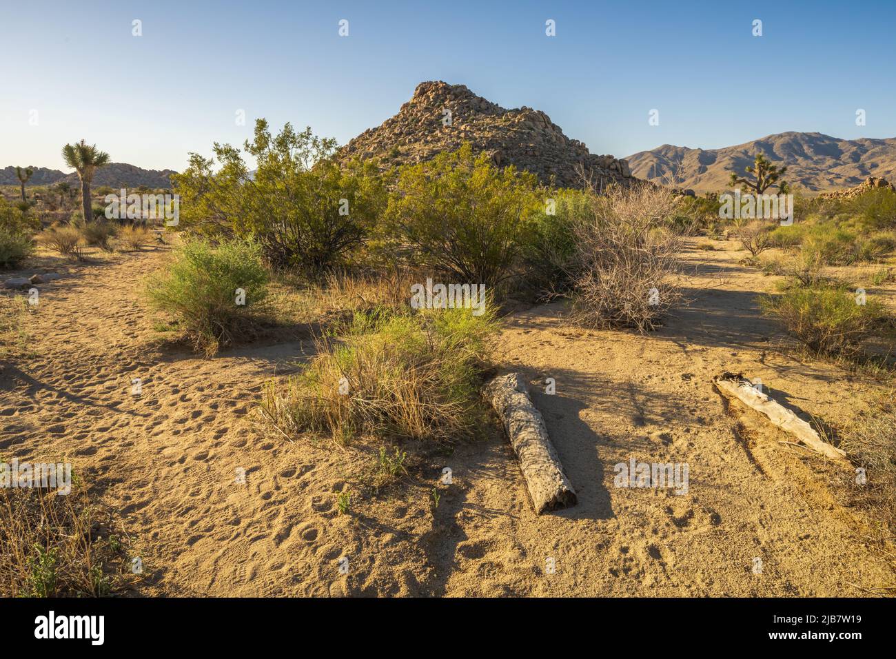 hiking the maze loop in joshua tree national park in california, usa ...