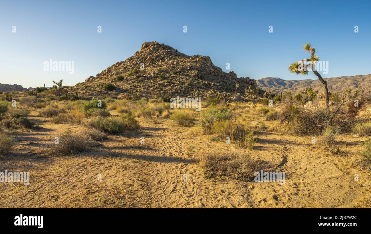 hiking the maze loop in joshua tree national park in california, usa ...