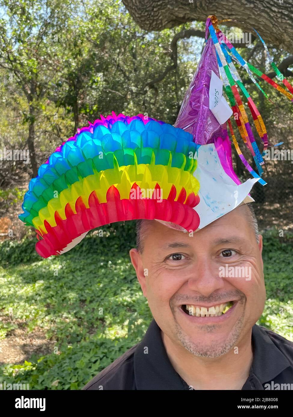 Two trees in Central Park in New York City during a snowy day Stock ...