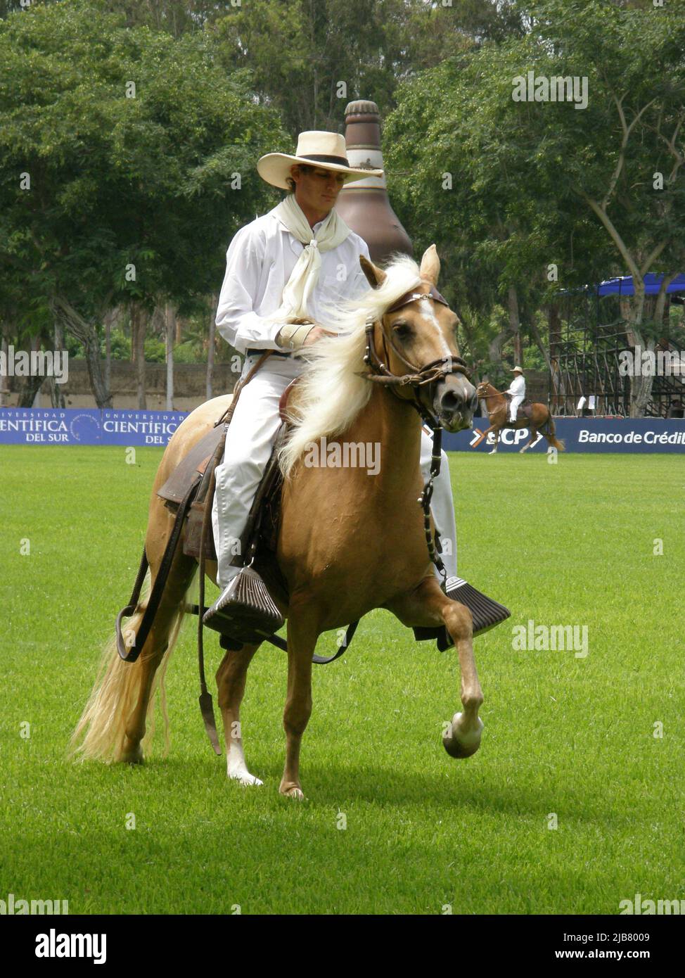 Championship of Peruvian Paso Horses, in Mamacona ranch, at the south ...