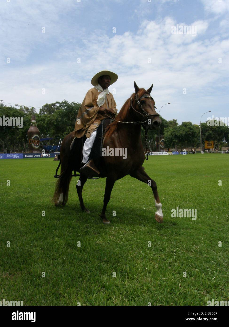 Championship of Peruvian Paso Horses, in Mamacona ranch, at the south ...