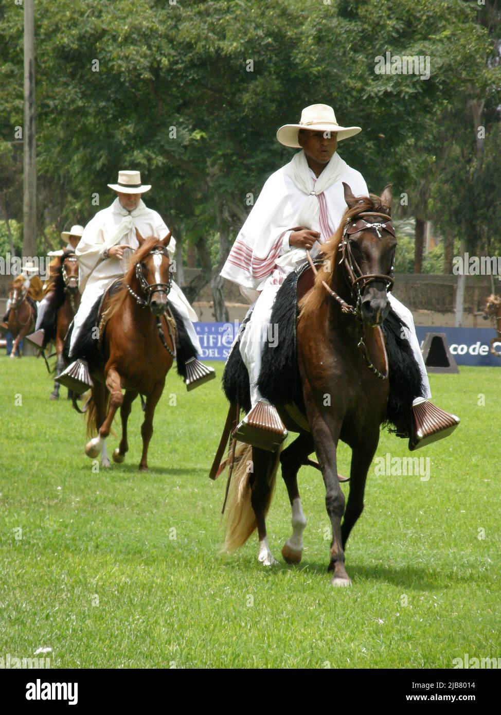 Championship of Peruvian Paso Horses, in Mamacona ranch, at the south ...