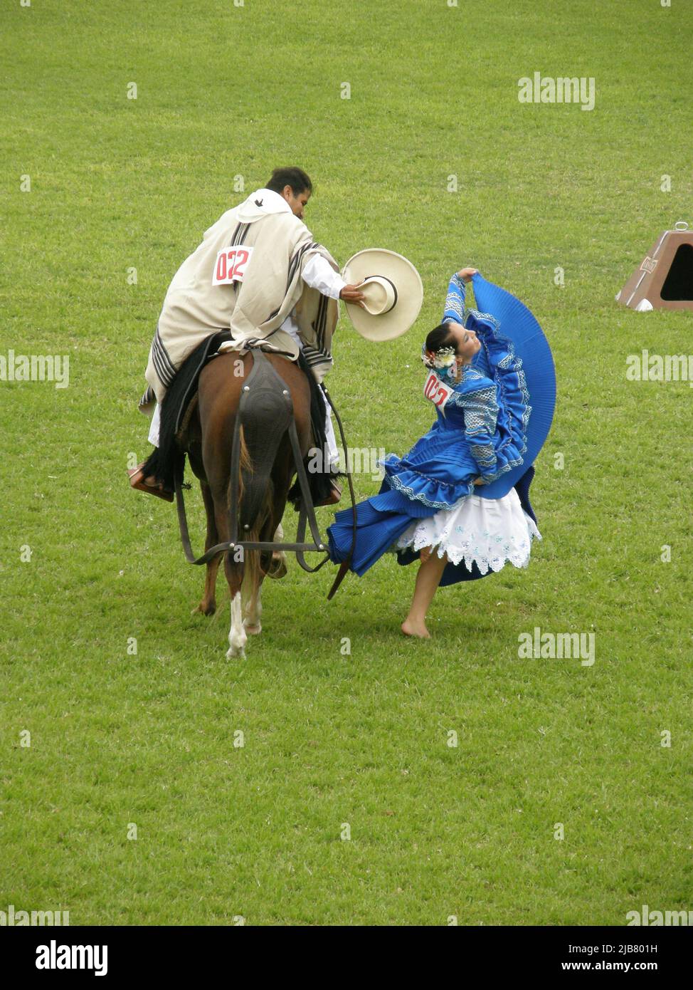 Championship of Peruvian Paso Horses, in Mamacona ranch, at the south ...