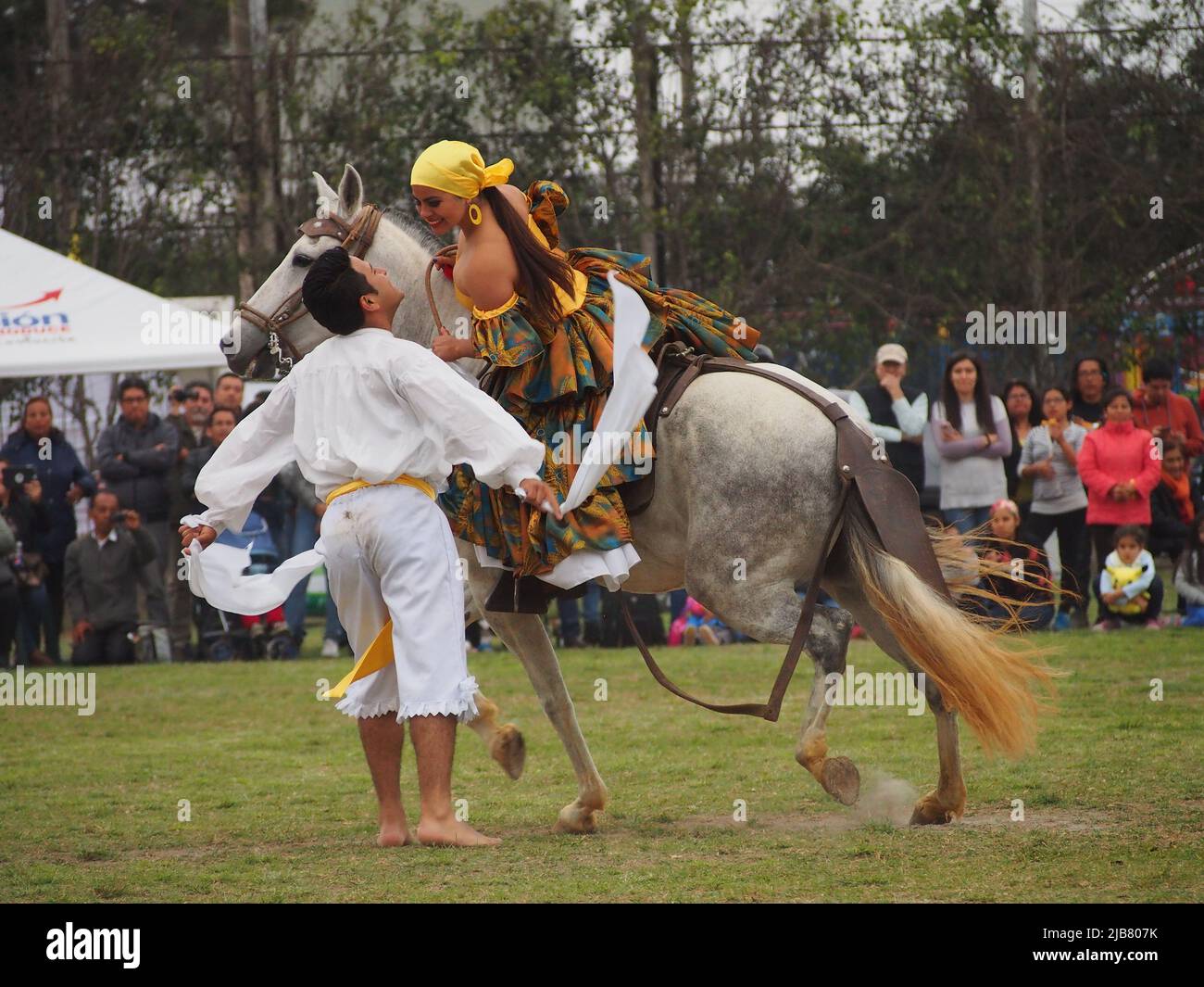 "IX Festival Dpaso Peruano"; an exhibition of Peruvian Paso horses, as ...