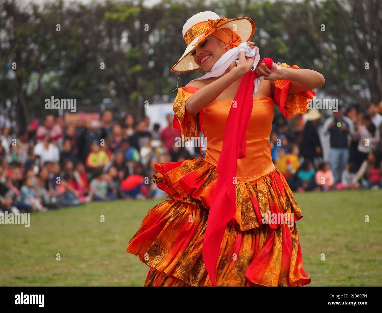 "IX Festival Dpaso Peruano"; an exhibition of Peruvian Paso horses, as ...